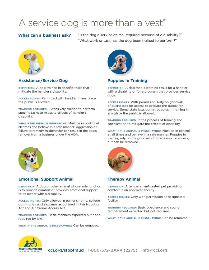 A Service Dog is more than a vest | The Animal Health Foundation | The ...